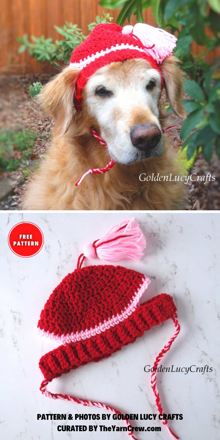 8 Free Crochet Dog Christmas Outfit Patterns - The Yarn Crew