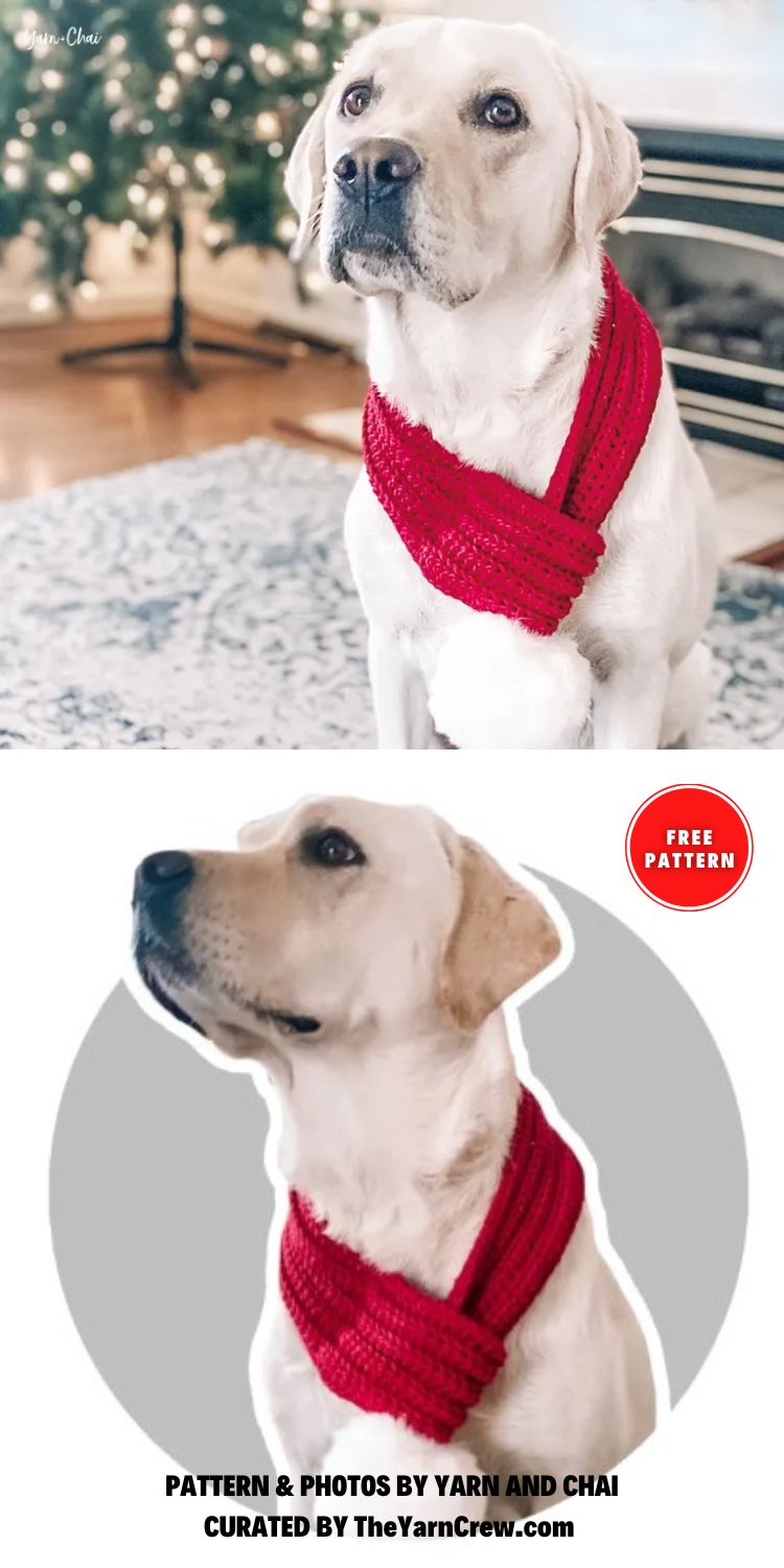 8 Free Crochet Dog Christmas Outfit Patterns - The Yarn Crew