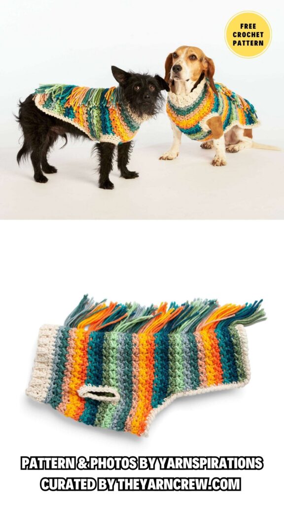 7 Cozy Crochet Small Dog Sweaters for Your Furry Friend - The Yarn Crew