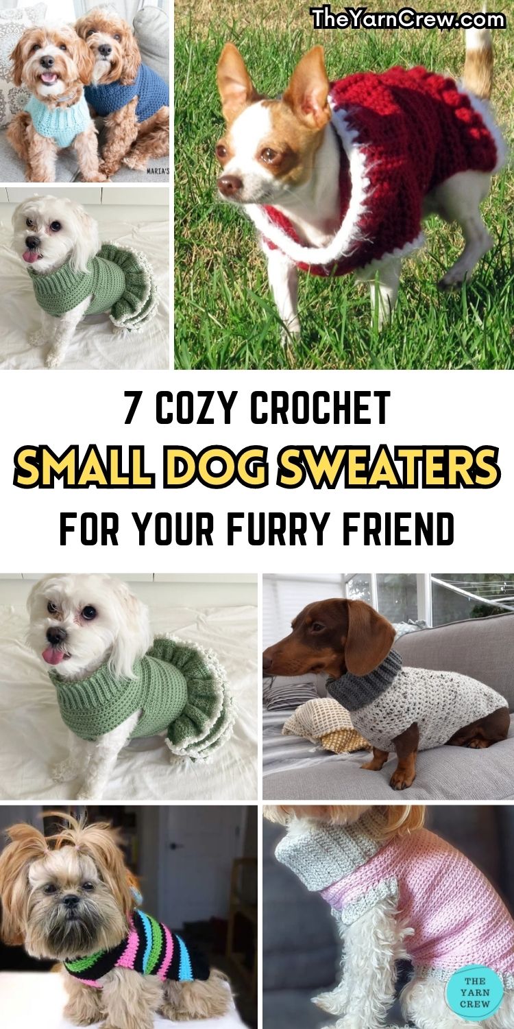 7 Cozy Crochet Small Dog Sweaters for Your Furry Friend - The Yarn Crew